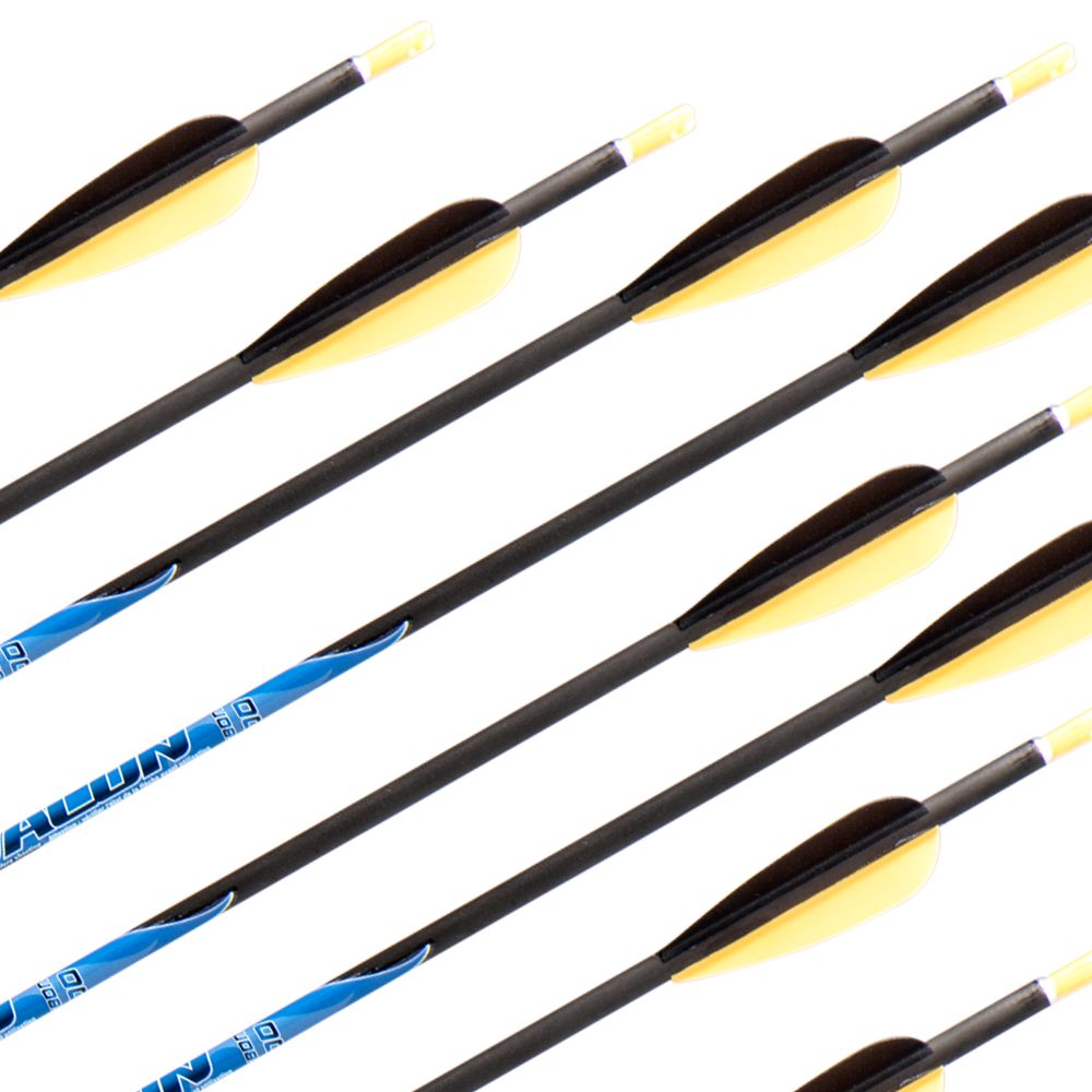 Alternative Archery Global - Archery Shop - Bows, Arrows & Accessories