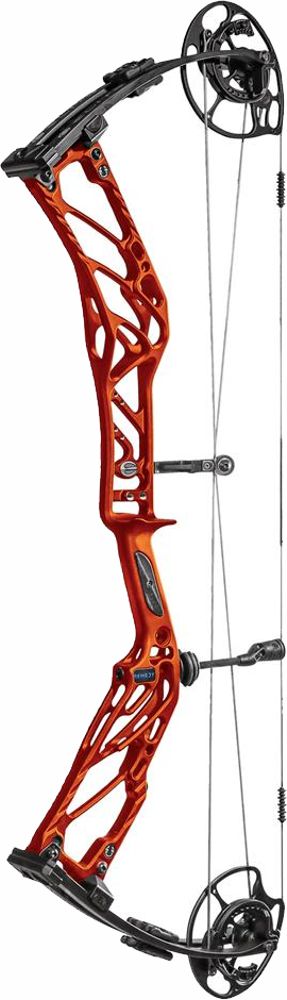 Elite Compound Competition – Alternative Services ROTW